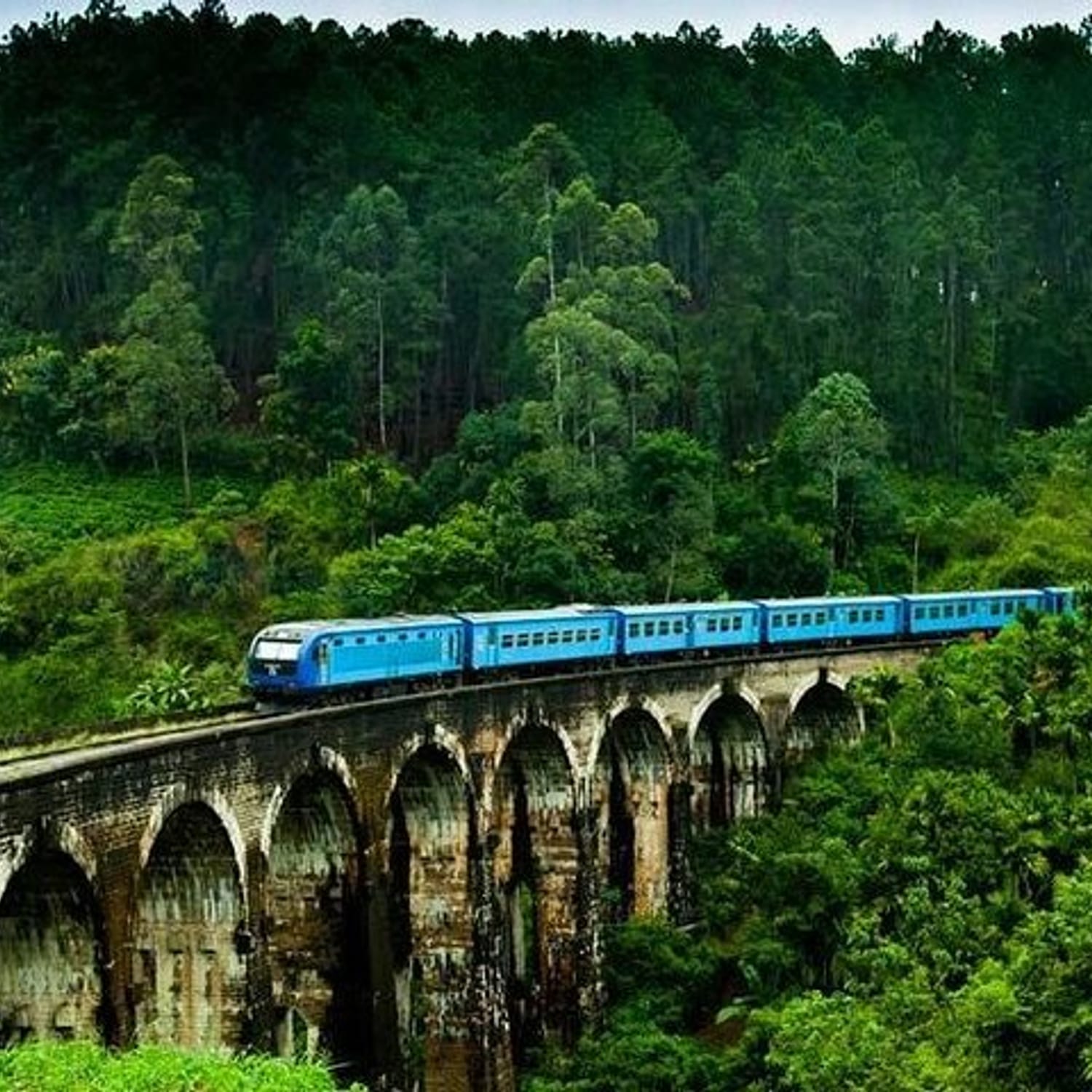 Ella Day Tour From Kandy
