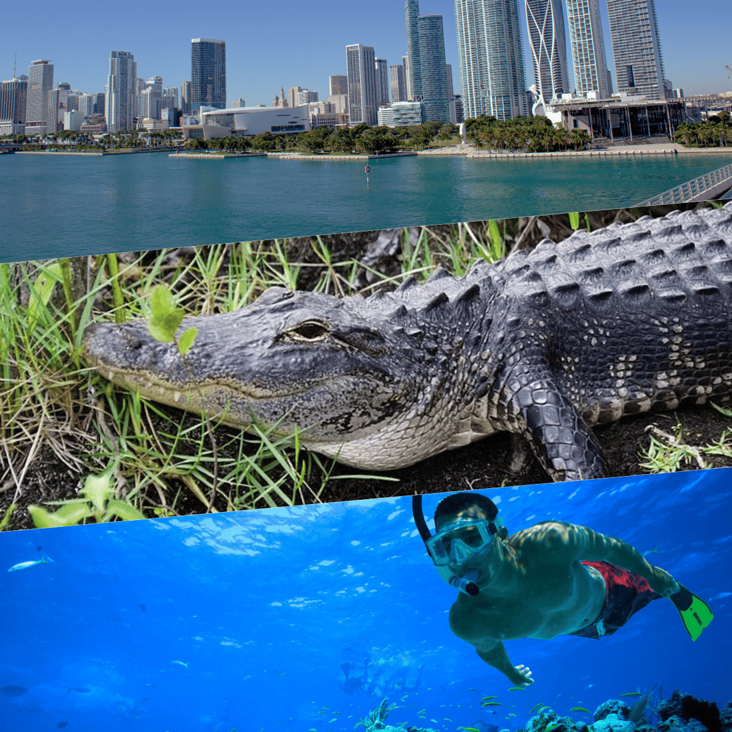 Ultimate 3-Day Florida Getaway: Miami Bus & Boat, Everglades Adventure ...