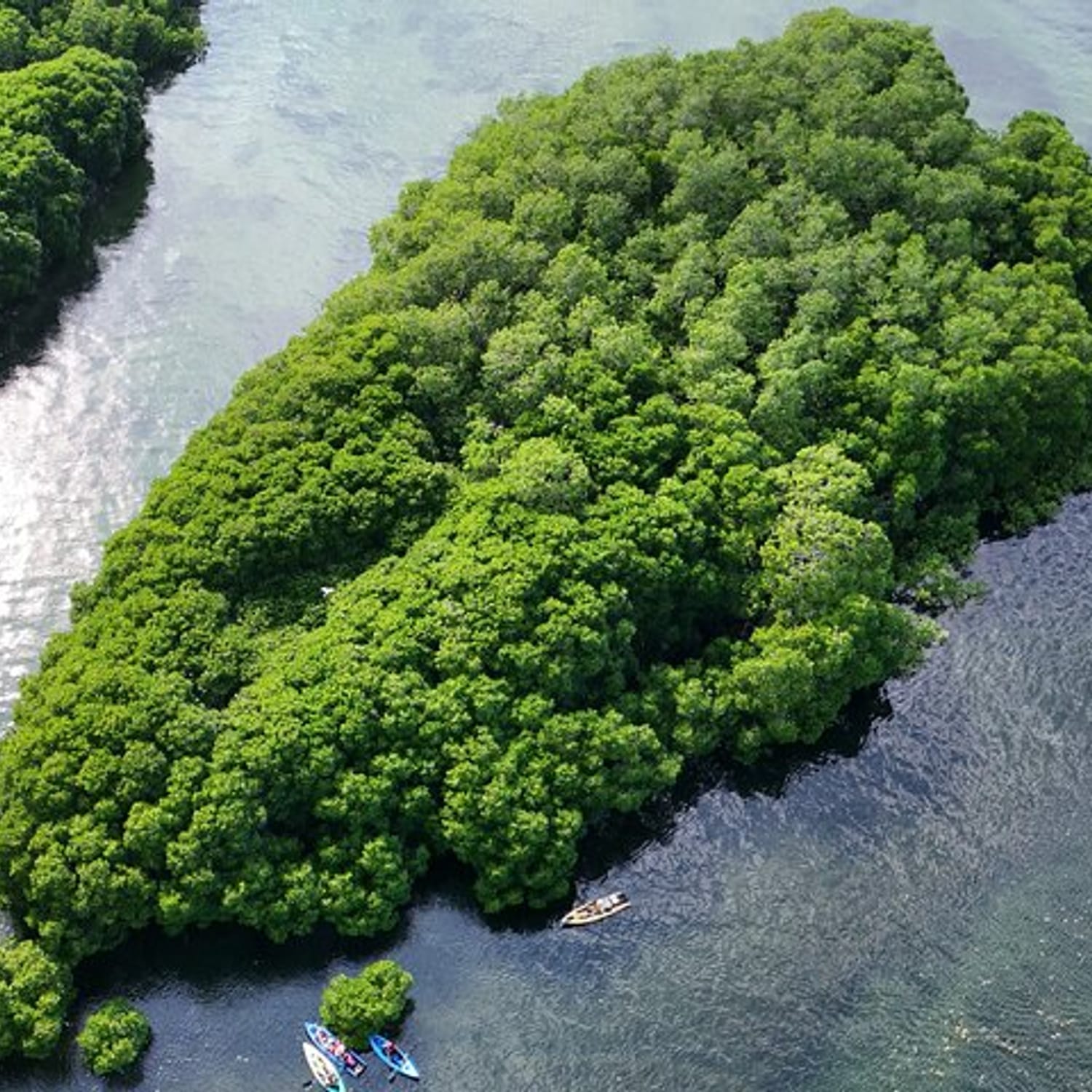 Uzi Island Mangrove Adventure – Kayaking & Village Discovery