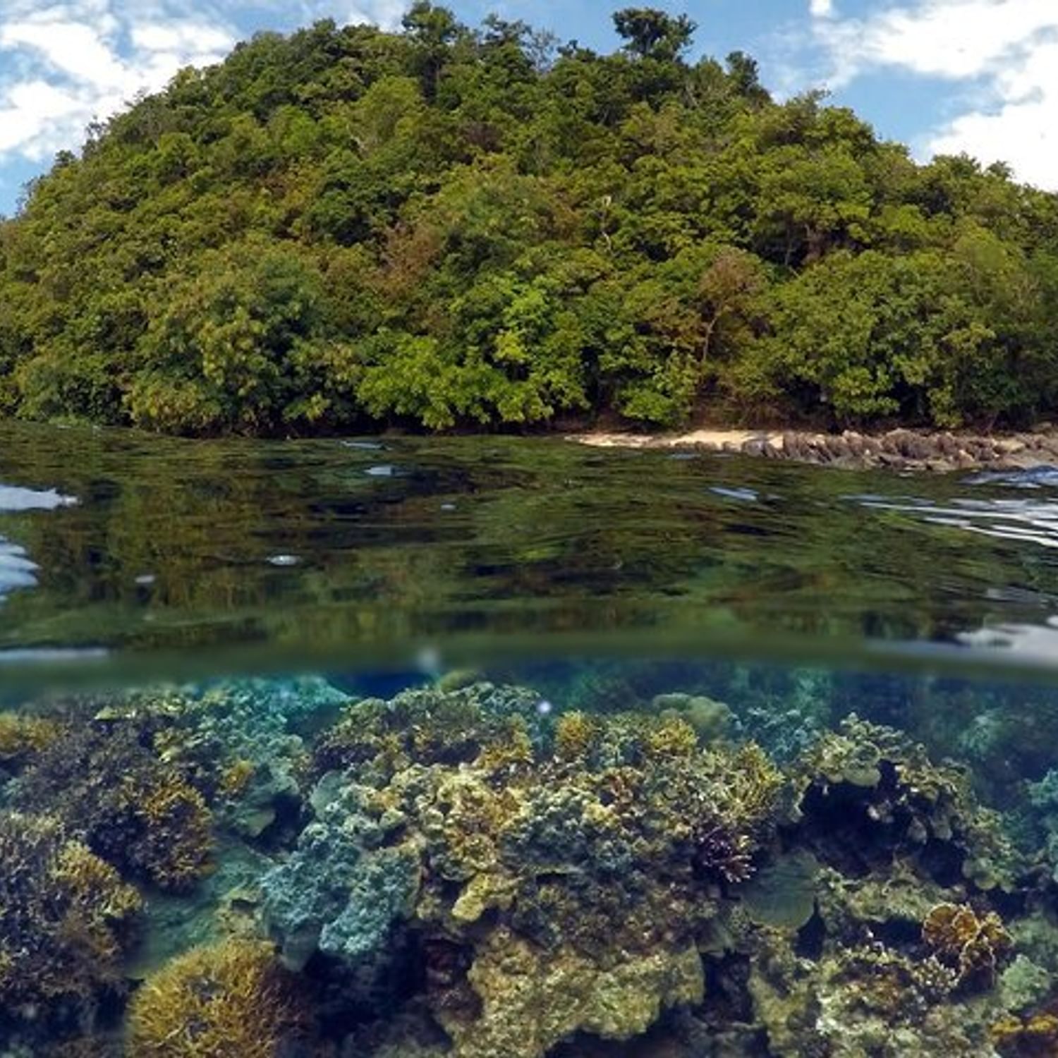 5D4N Puerto Princesa & Port Barton Tour Package