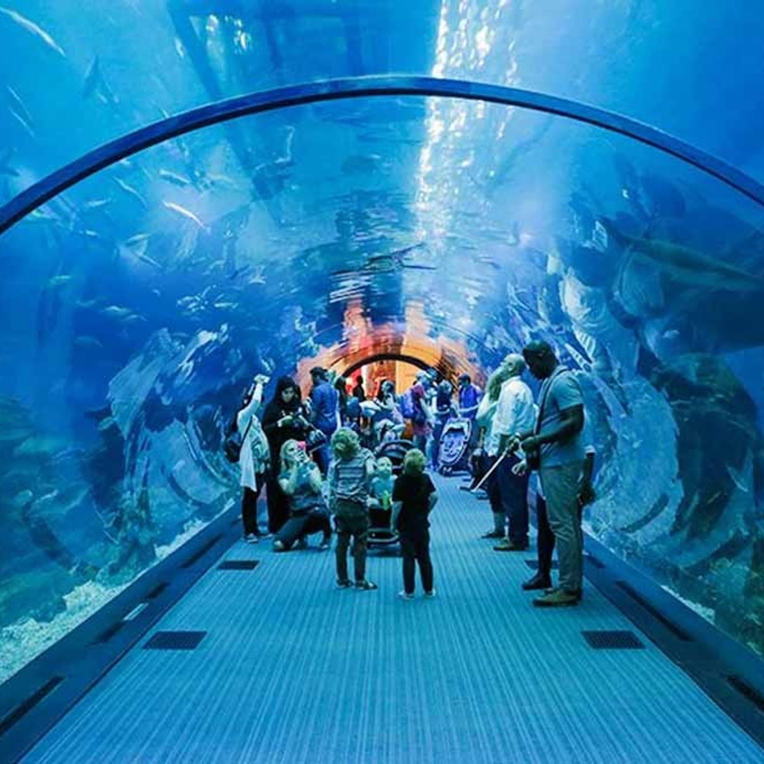 The Hurghada Grand Aquarium