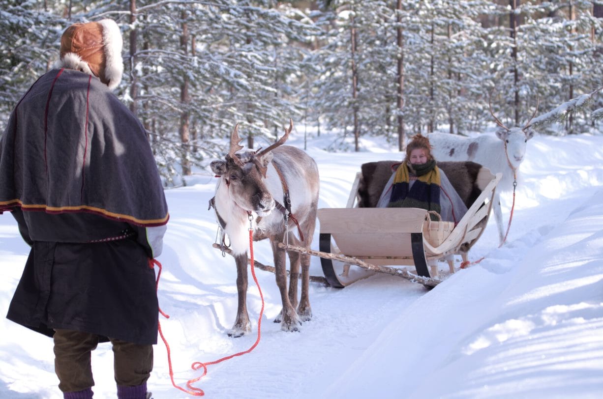 Jingle Bells – Sleigh Ride In An Old Forest - Visit Rovaniemi