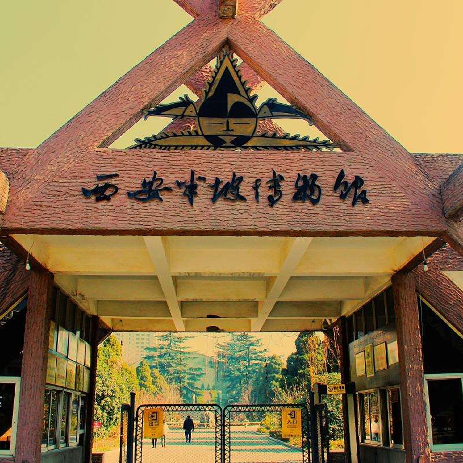 Private Tour of Banpo Ancient Ruins & Terracotta Army Museum