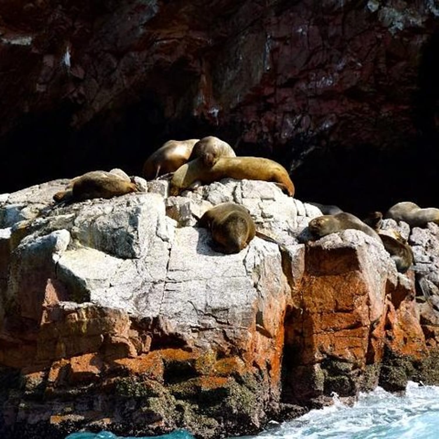 Ballestas Islands Sightseeing Boat Ride from Paracas