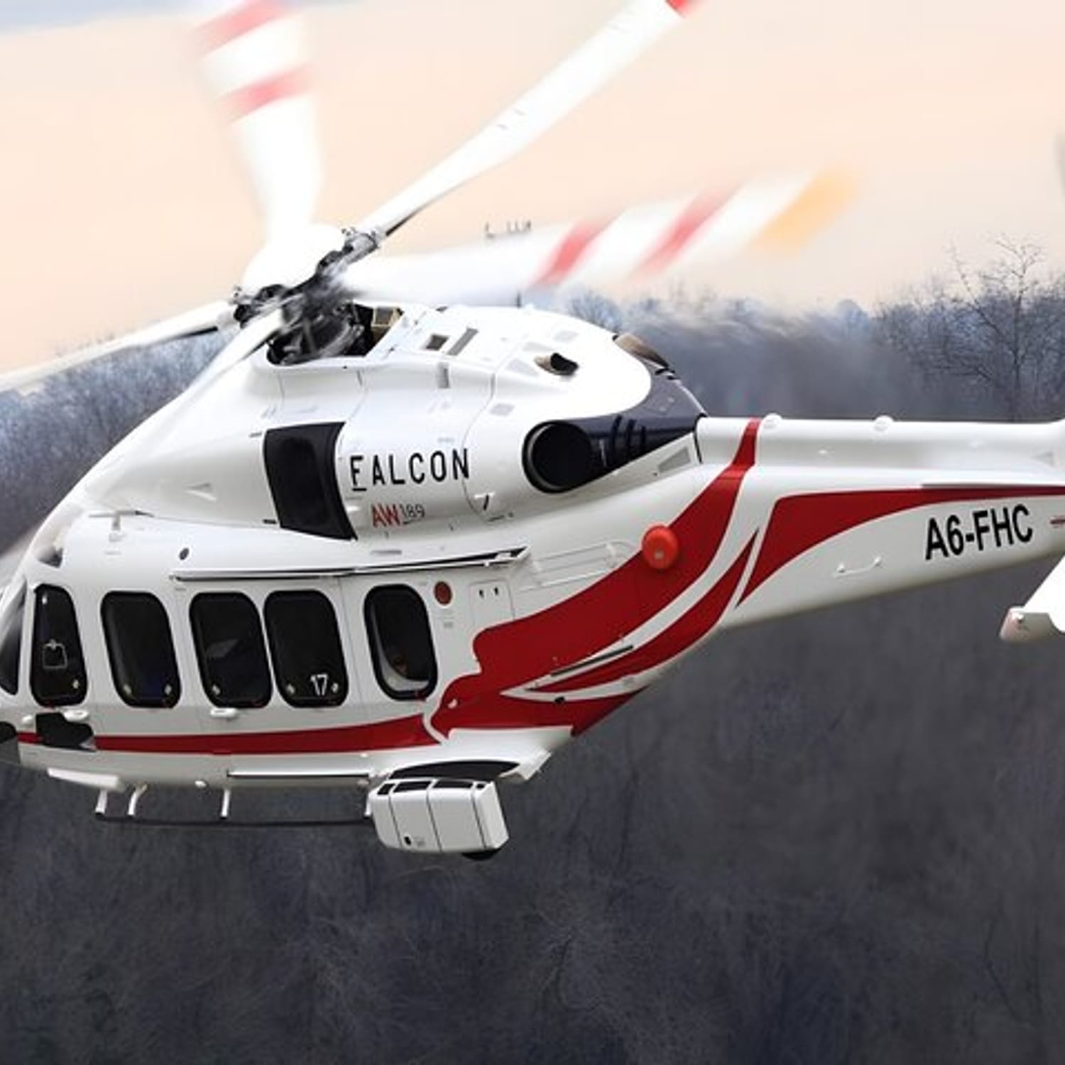 Falcon Helicopter Ride in Dubai