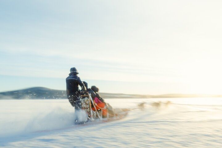 Rovaniemi: Insider 5 Km Husky Self Drive Adventure - Visit Rovaniemi