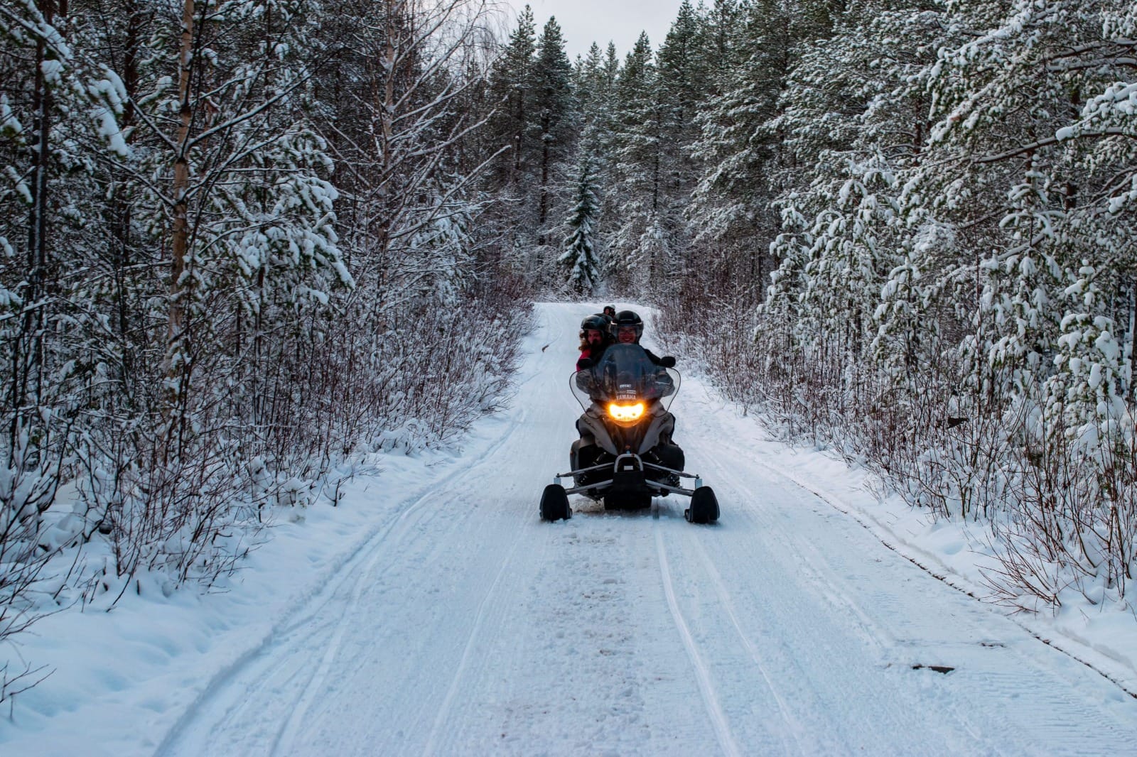 Snowmobile Safari Winter Tour & Barbeque - 1 Hour Driving - Small Group