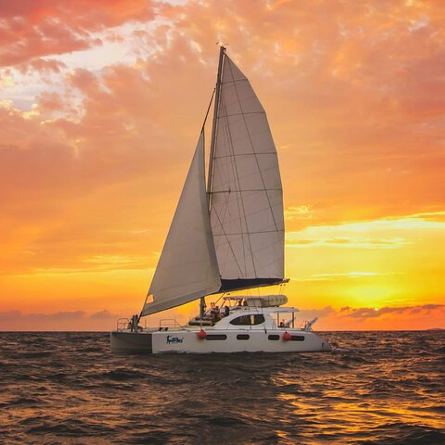Luxury Sunset Sailing Cruise in Cancun with Light Dinner and Open Bar