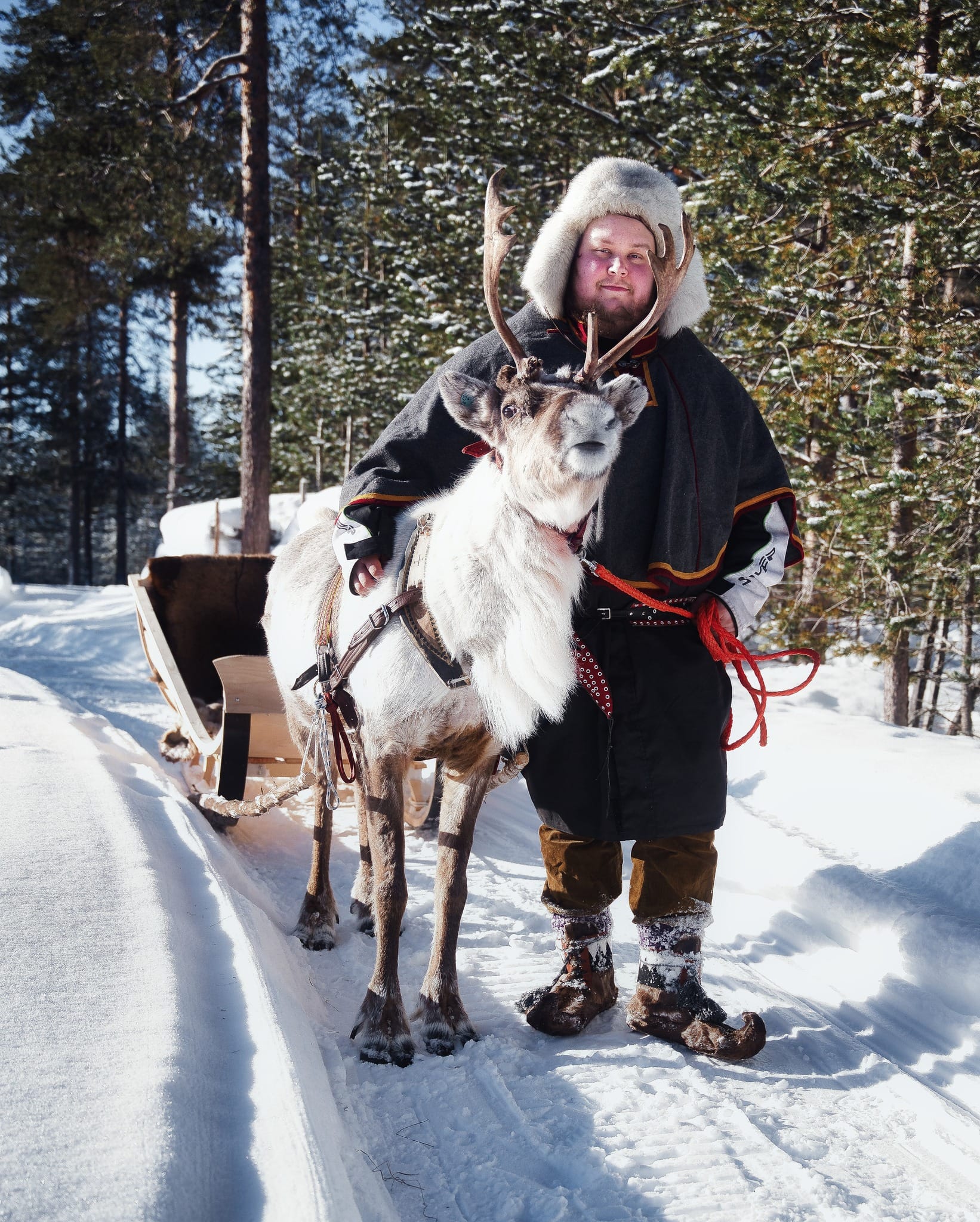 Jingle Bells – Sleigh Ride In An Old Forest - Visit Rovaniemi