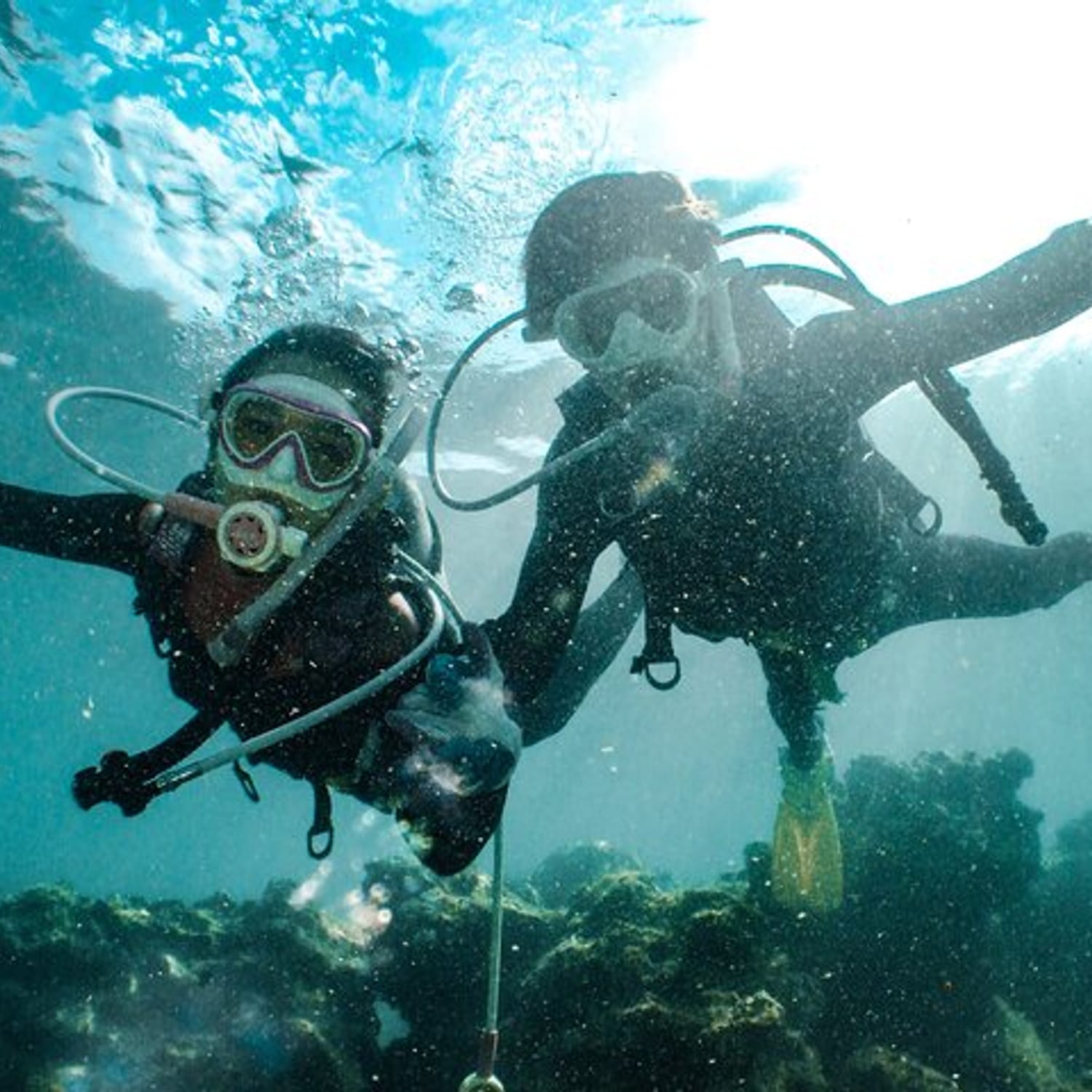 Intro Scuba Diving for beginners With (Lunch,Transfer) – Hurghada