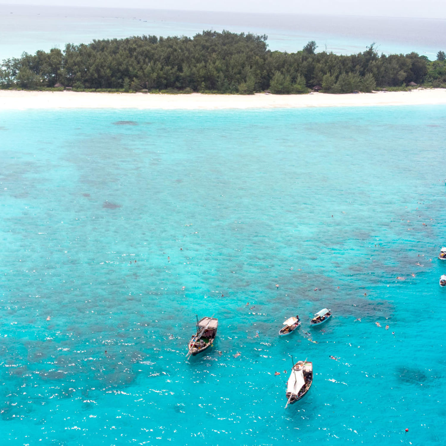 Mnemba Island Snorkeling Tour