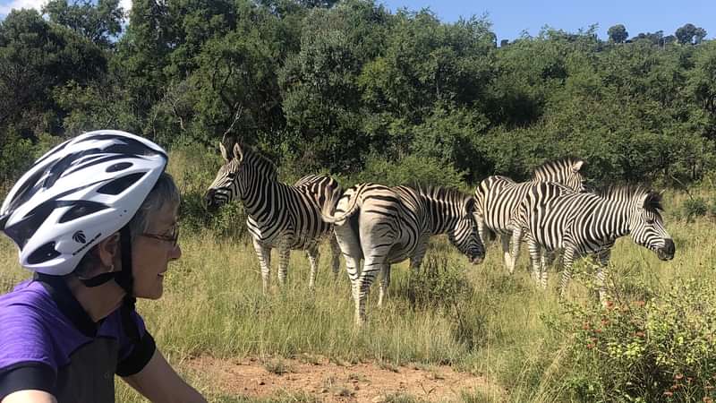 E Biking With Wild Game Near Johannesburg An Exhilarating Experience e-biking-with-wild-game-near-johannesburg-an-exhilarating-experience