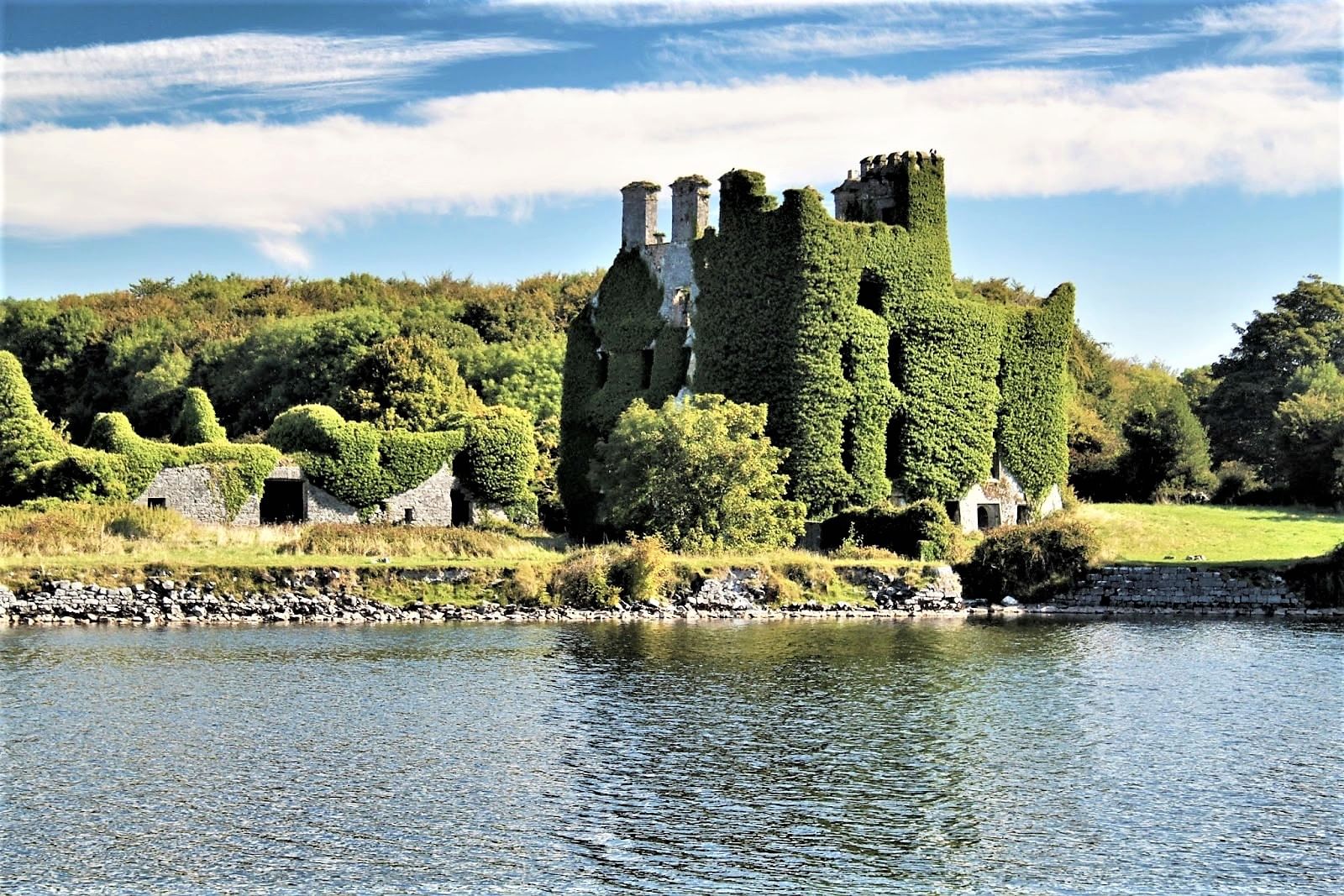 Scenic cruise of Corrib river & lake. Galway City. Guided.