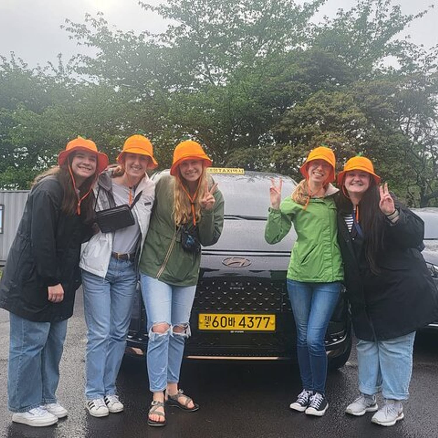 Jeju Taxi Customized Private Day tour to All areas of Jeju Island