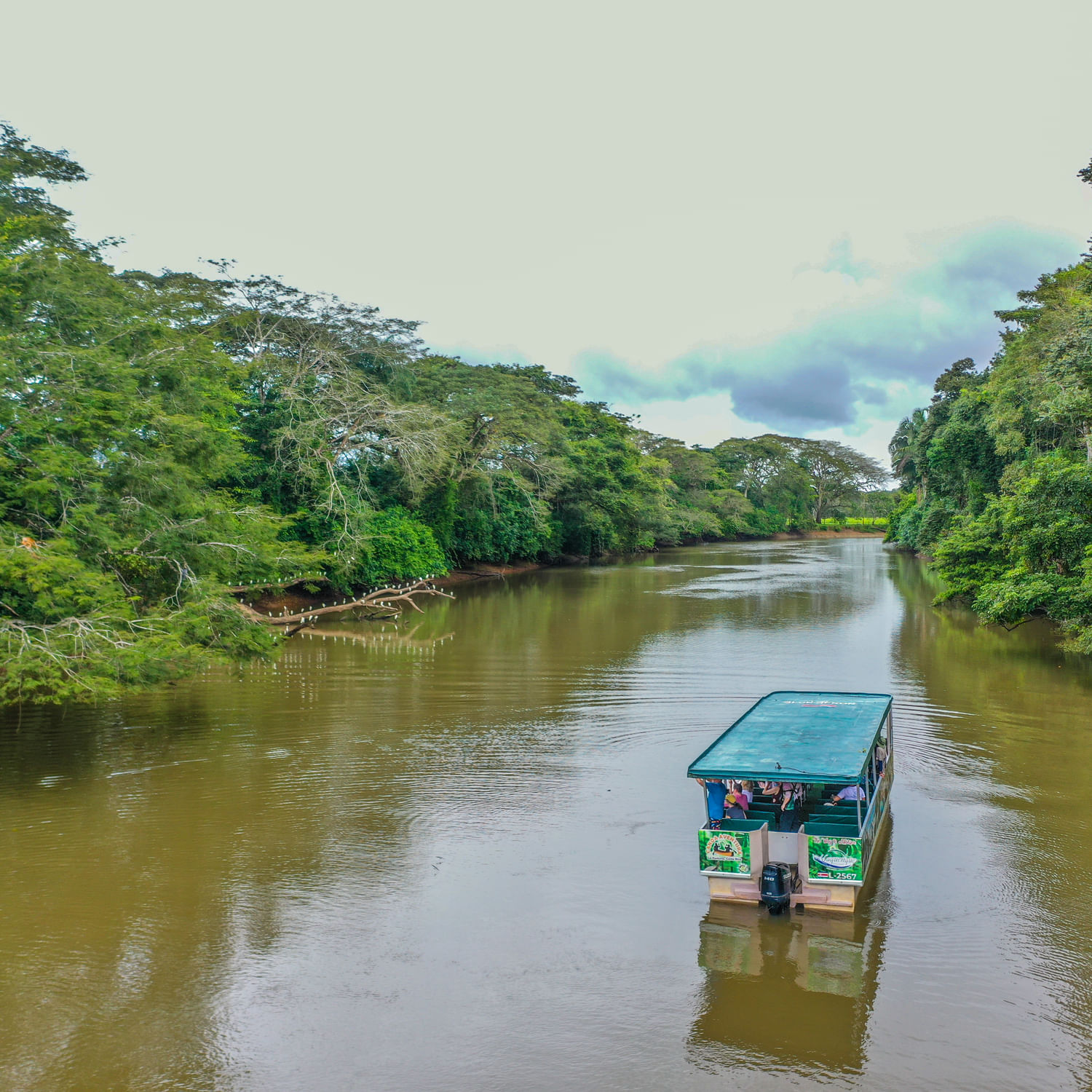 Tour al Refugio de Vida Silvestre Caño Negro en bote
